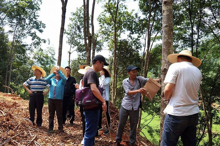 FSC China’s Calibration Meeting on its Upcoming National Forest ...