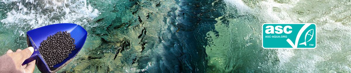 Introduction to the ASC Feed Certification