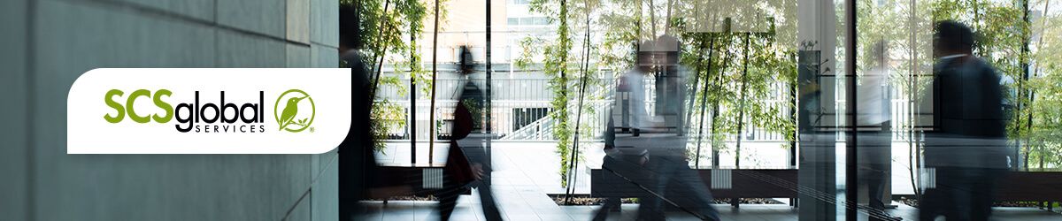 An Introduction to ESG Assurance and Reporting: Five Essentials Every ...